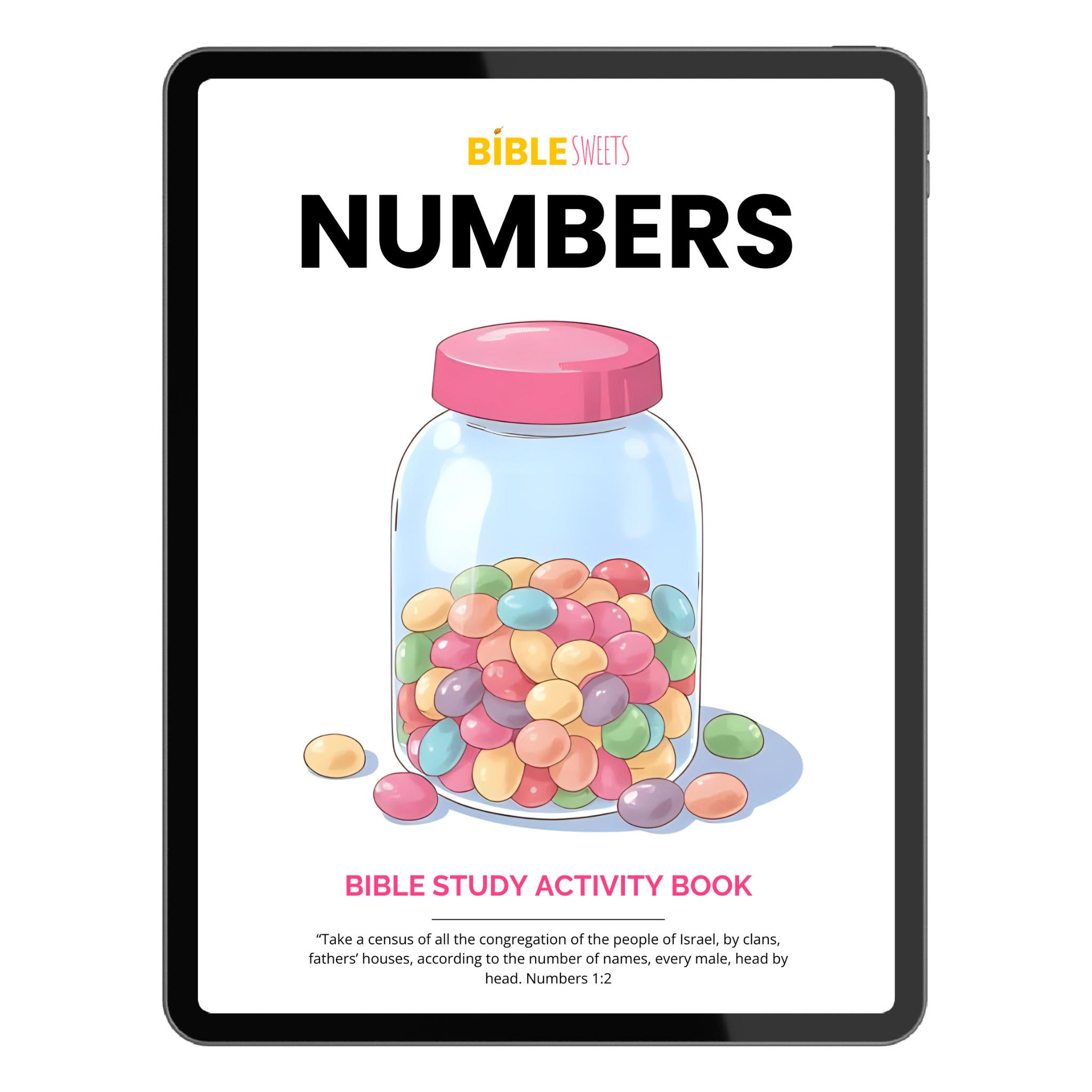 Numbers Bible Study Activity Book - Bible Sweets